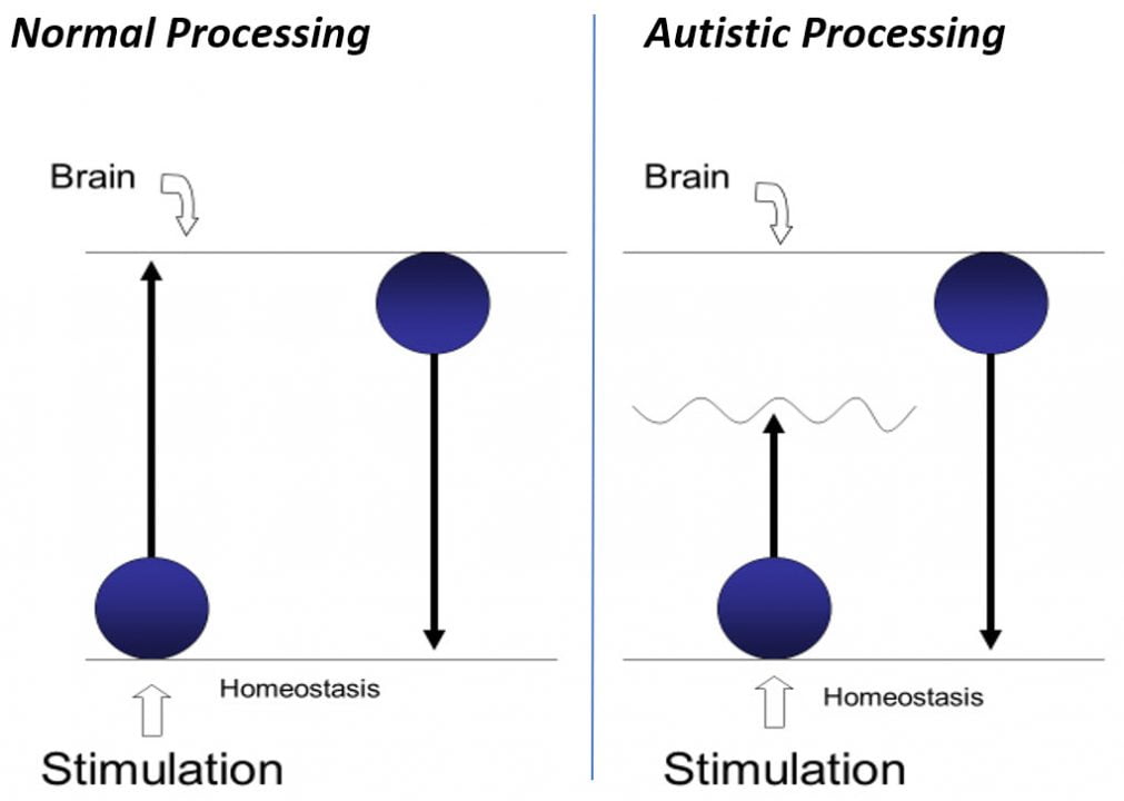 Class 2: Autistic Behavior: What’s Behind it and How to Manage It | NAA ...